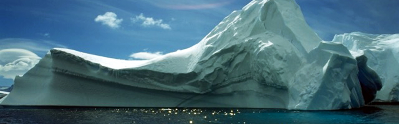 iCCB Action Plans – IUBS