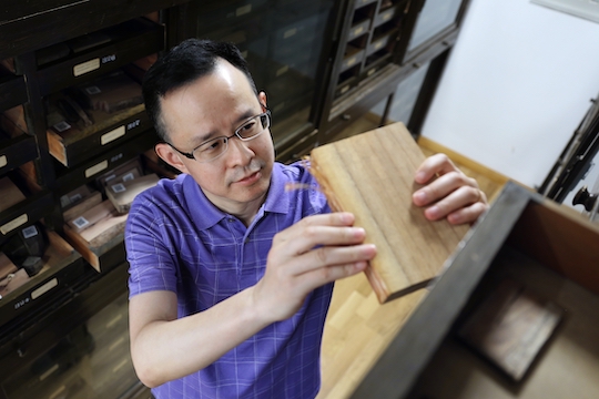 Executive Committee Member (2023-2026): Yafang YIN – IUBS